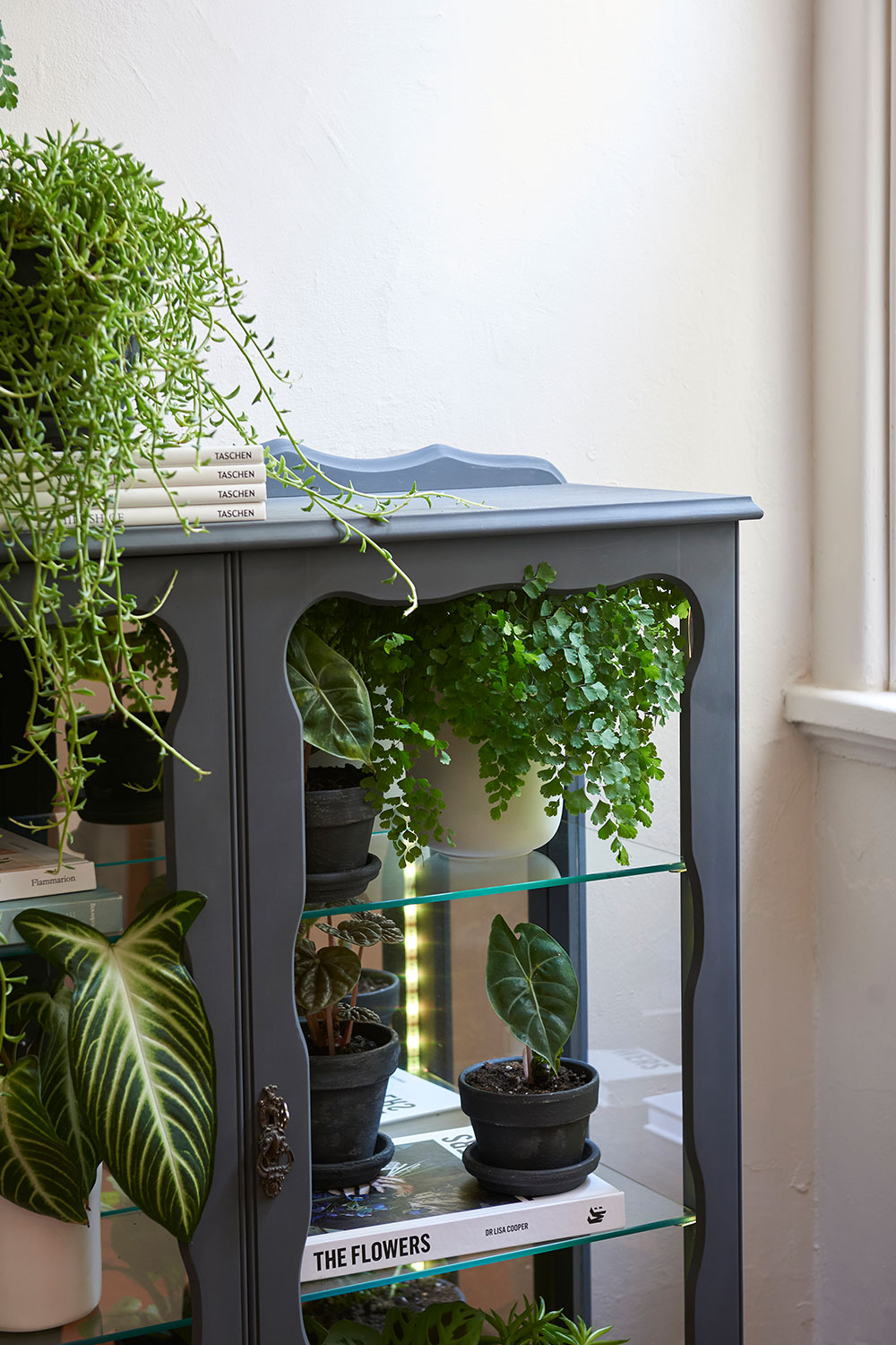 Grow light plant cabinet DIY | Better Homes and Gardens