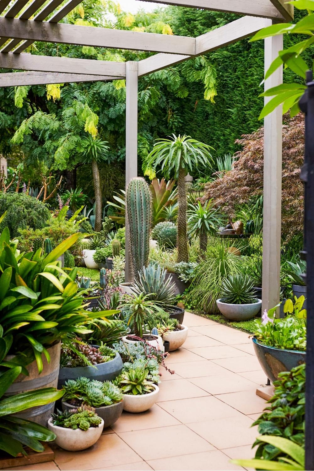 How to perfectly style pot plants in your garden | Better Homes and Gardens