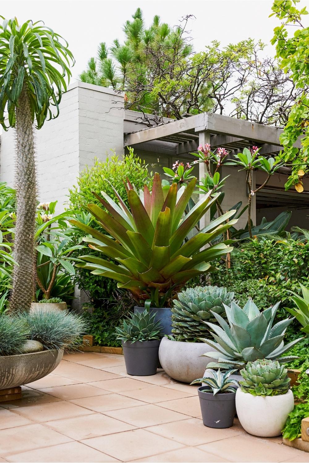 How to perfectly style pot plants in your garden | Better Homes and Gardens