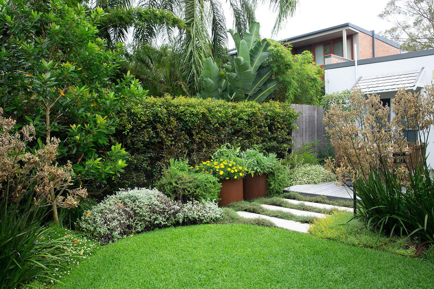 How to create your own native cottage garden | Better Homes and Gardens