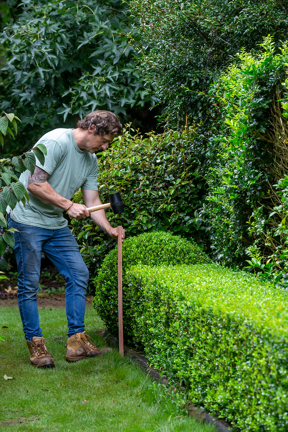 How to clip a hedge | Better Homes and Gardens