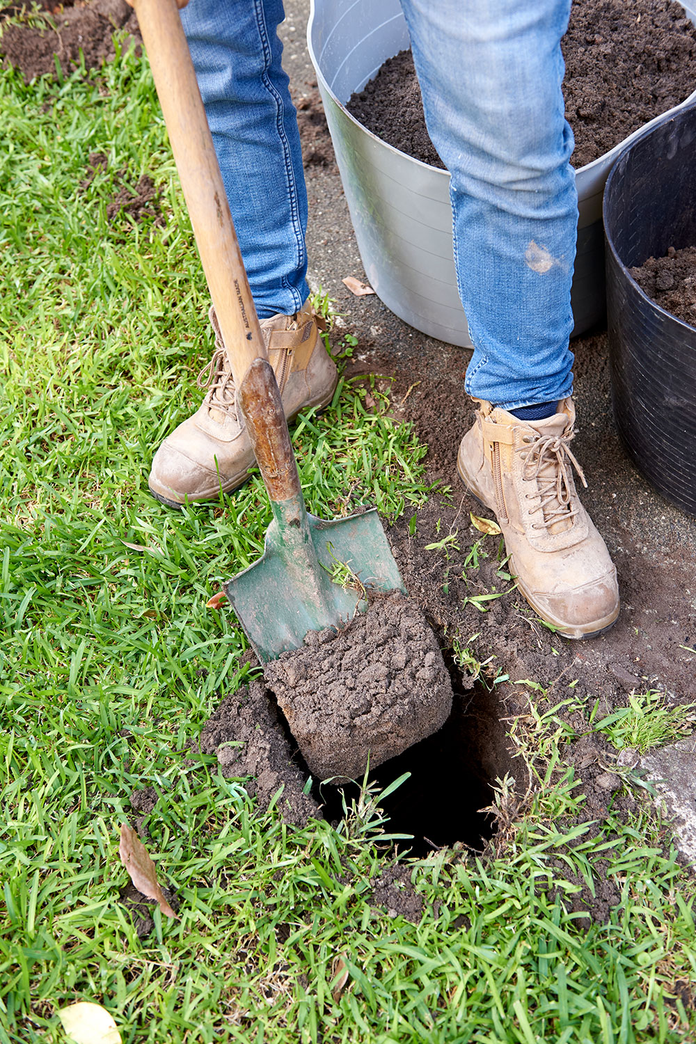 How to screen a rubbish bin | Better Homes and Gardens