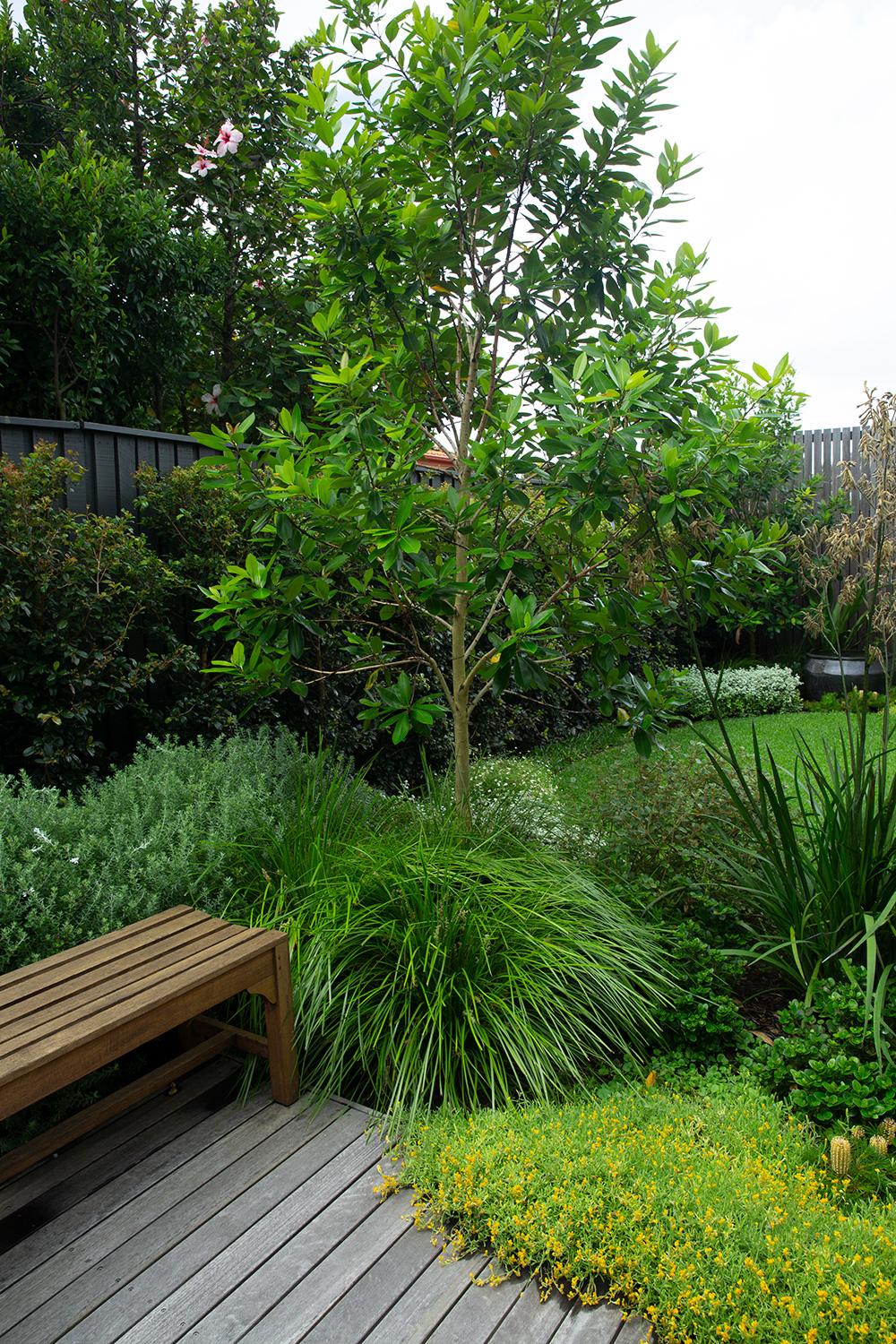 How to create your own native cottage garden | Better Homes and Gardens