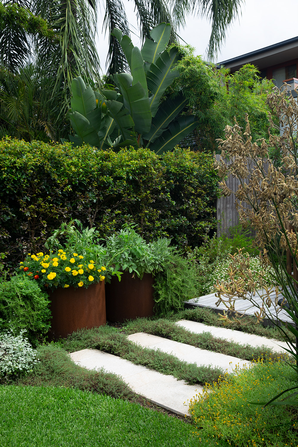 How to create your own native cottage garden | Better Homes and Gardens