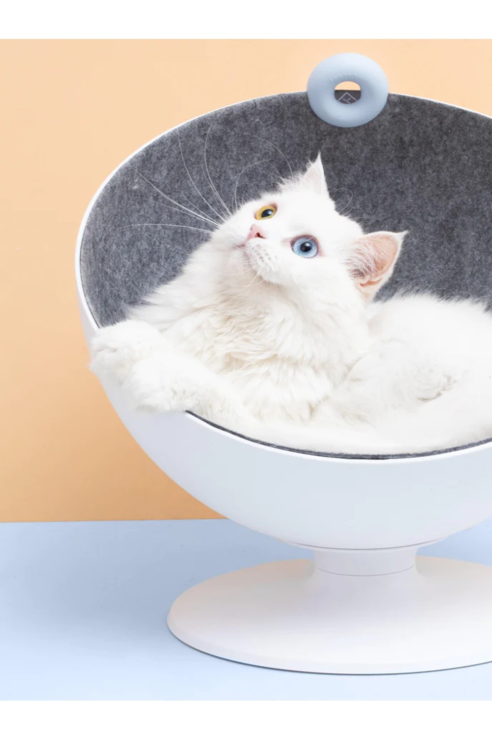 Best cat furniture: 11 best pieces for your furry friend | Better Homes ...
