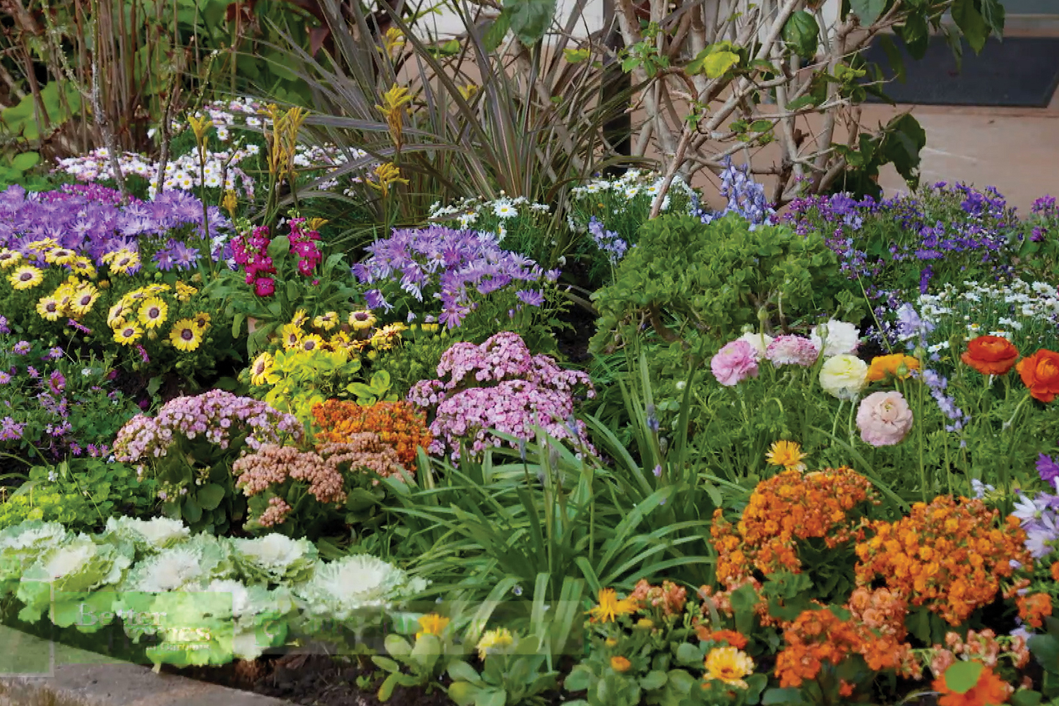 Graham’s favourite spring flowers | Better Homes and Gardens