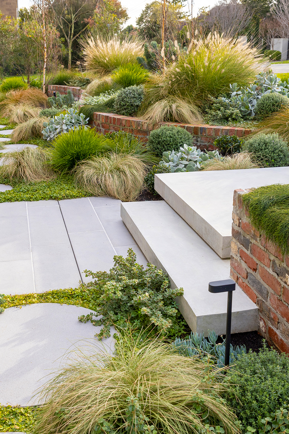 How to grow a coastal garden | Better Homes and Gardens