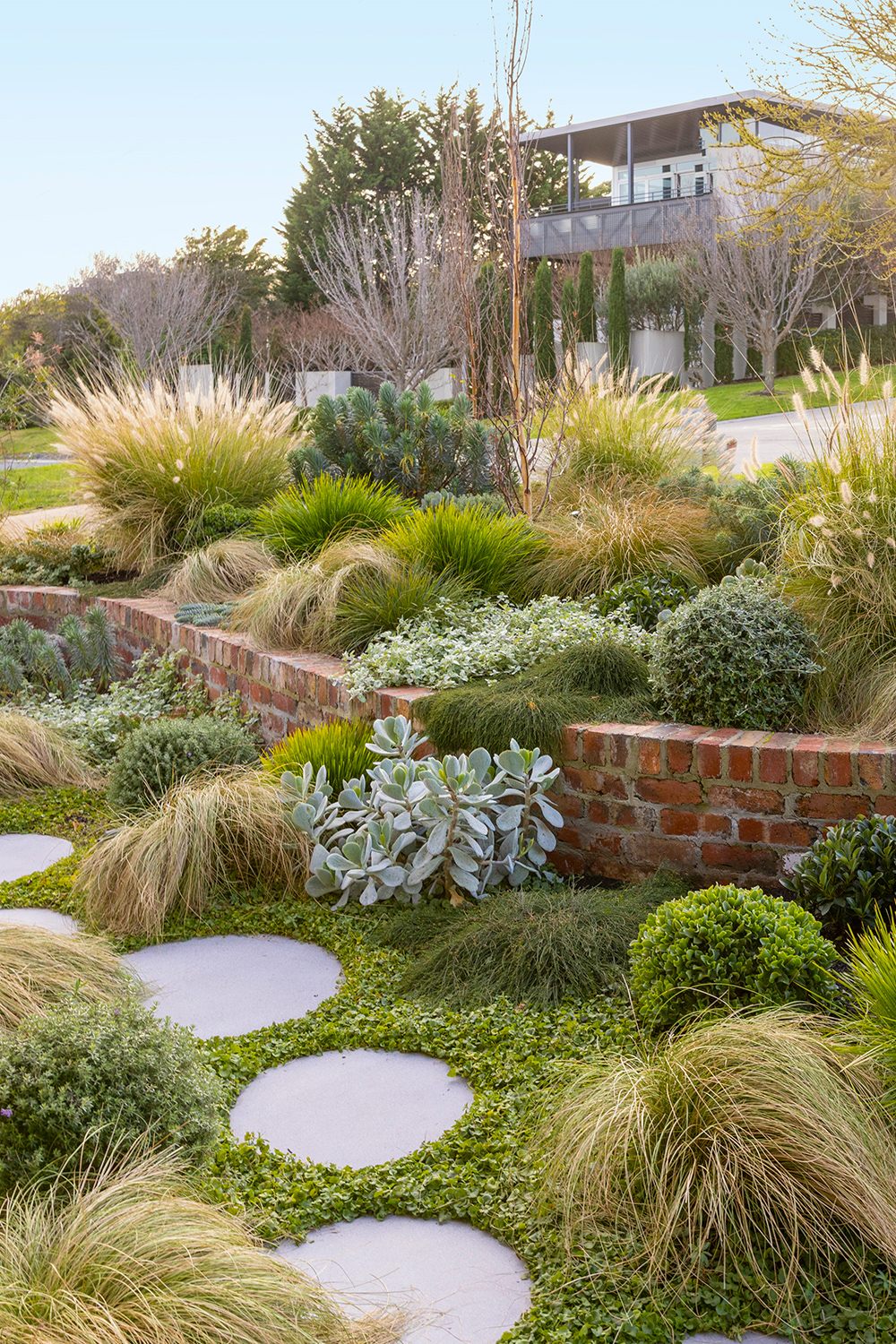 How to grow a coastal garden | Better Homes and Gardens