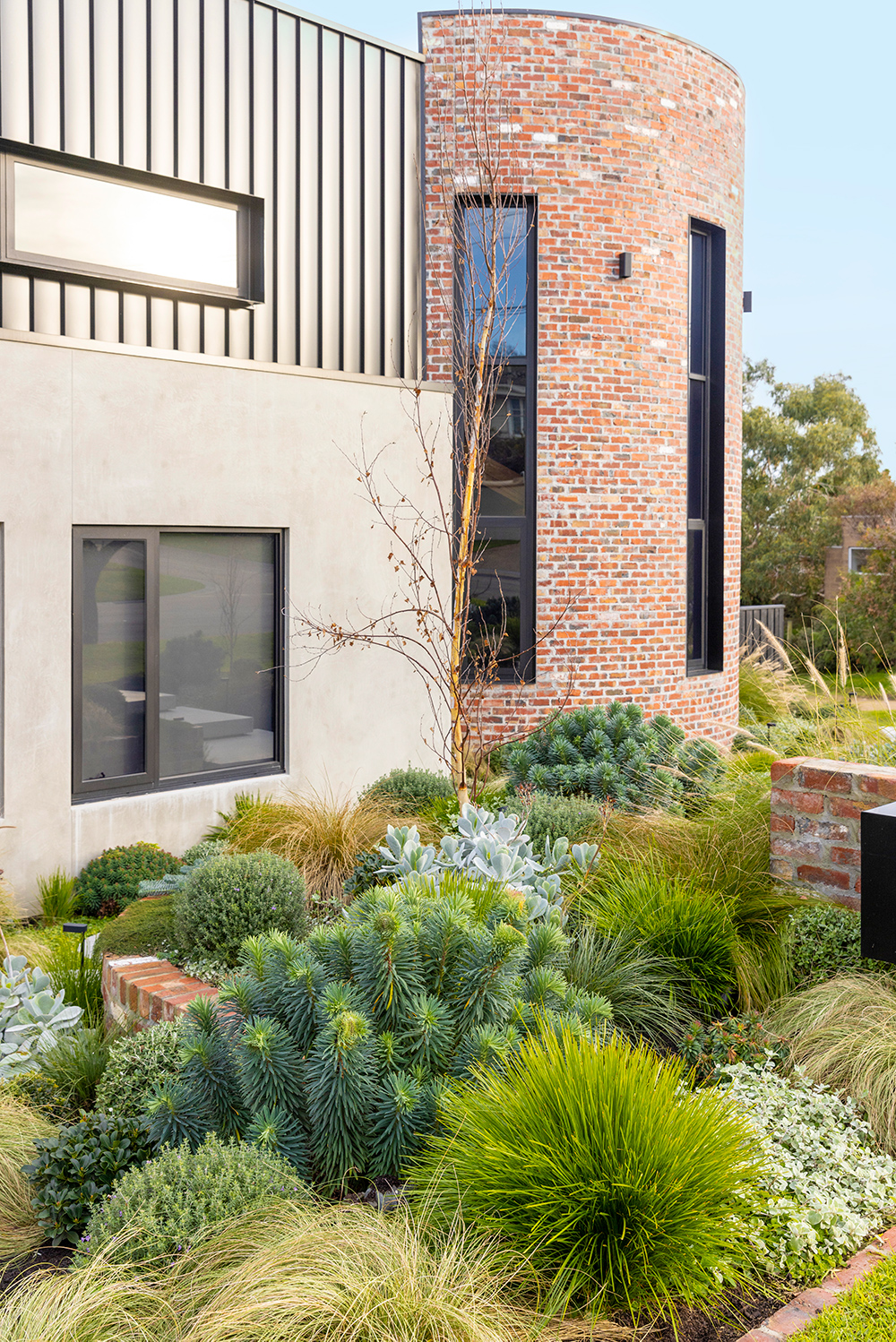 How to grow a coastal garden | Better Homes and Gardens