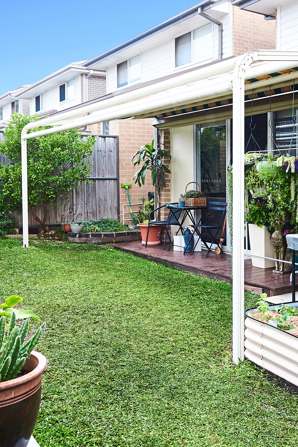 Revive Your Lawn: Experts Tips For The Best Lawn On The Street | Better ...