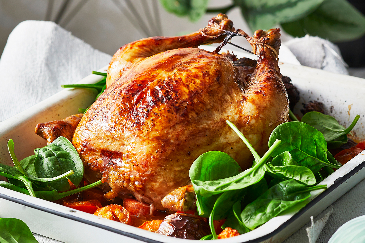 Cheesymite chicken recipe Recipe | Better Homes and Gardens