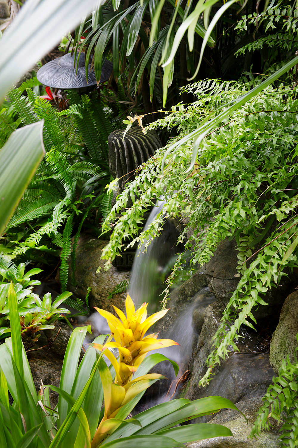 How to create a tropical garden | Better Homes and Gardens