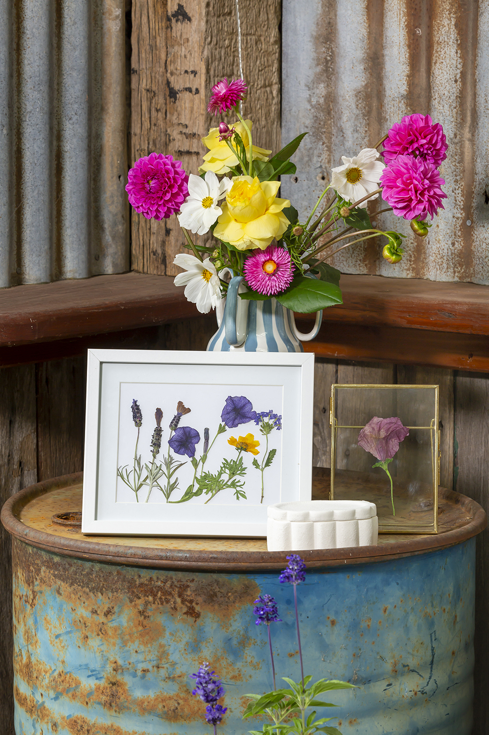 How To Press Flowers With A Microwave | Better Homes and Gardens