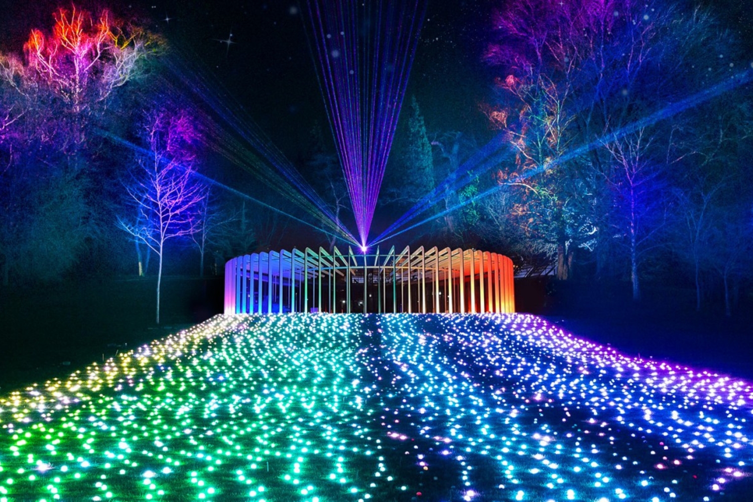 Vivid is back to light up Sydney in 2023 | Better Homes and Gardens
