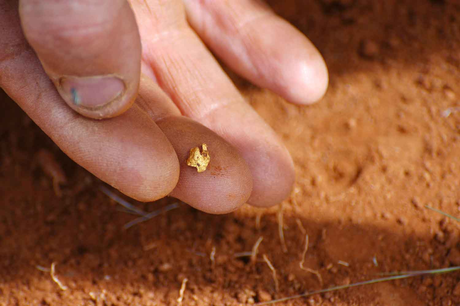 How To Try Your Luck Gold Prospecting With A Metal Detector | Better ...