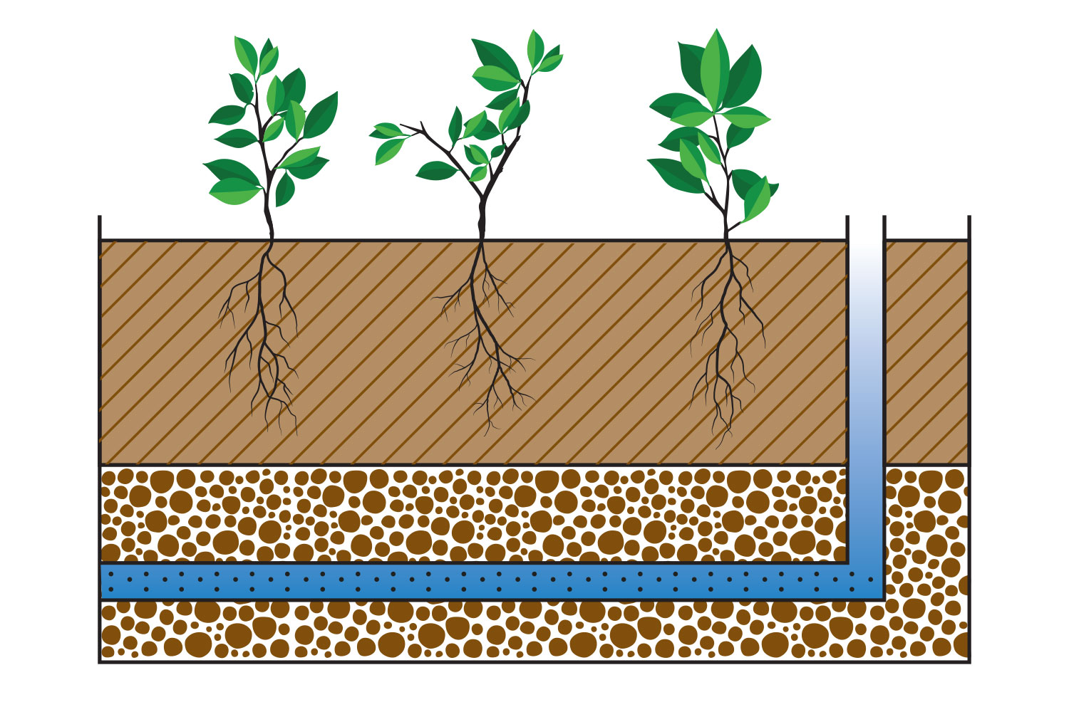 Wicking Beds: How To Make A Wicking Garden Bed | Better Homes and Gardens