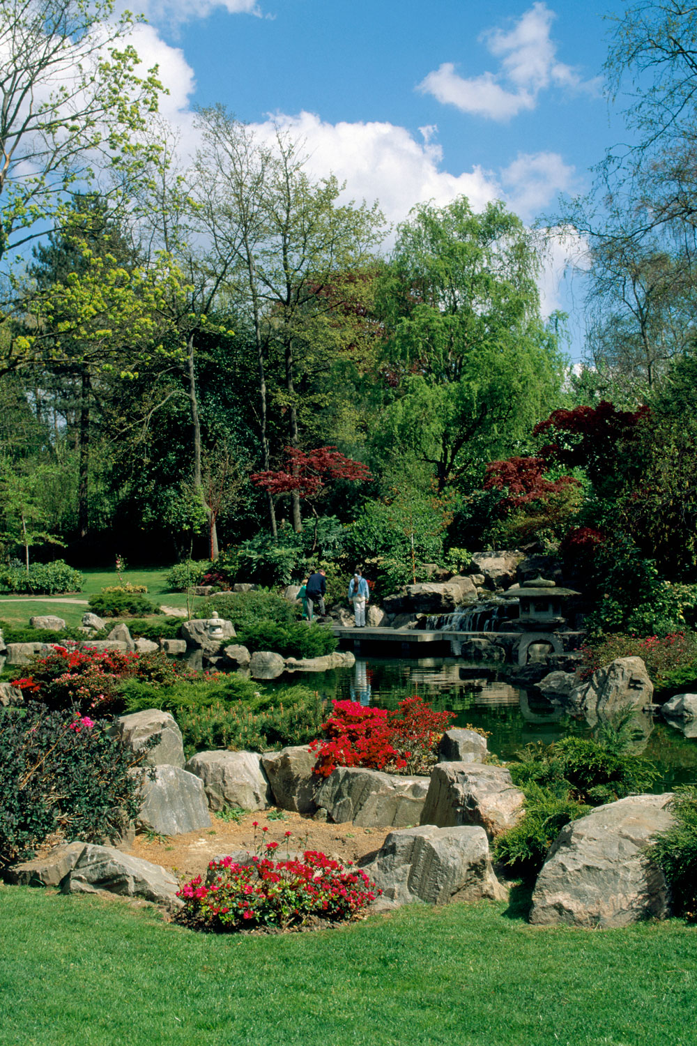 How to create a rock garden | Better Homes and Gardens