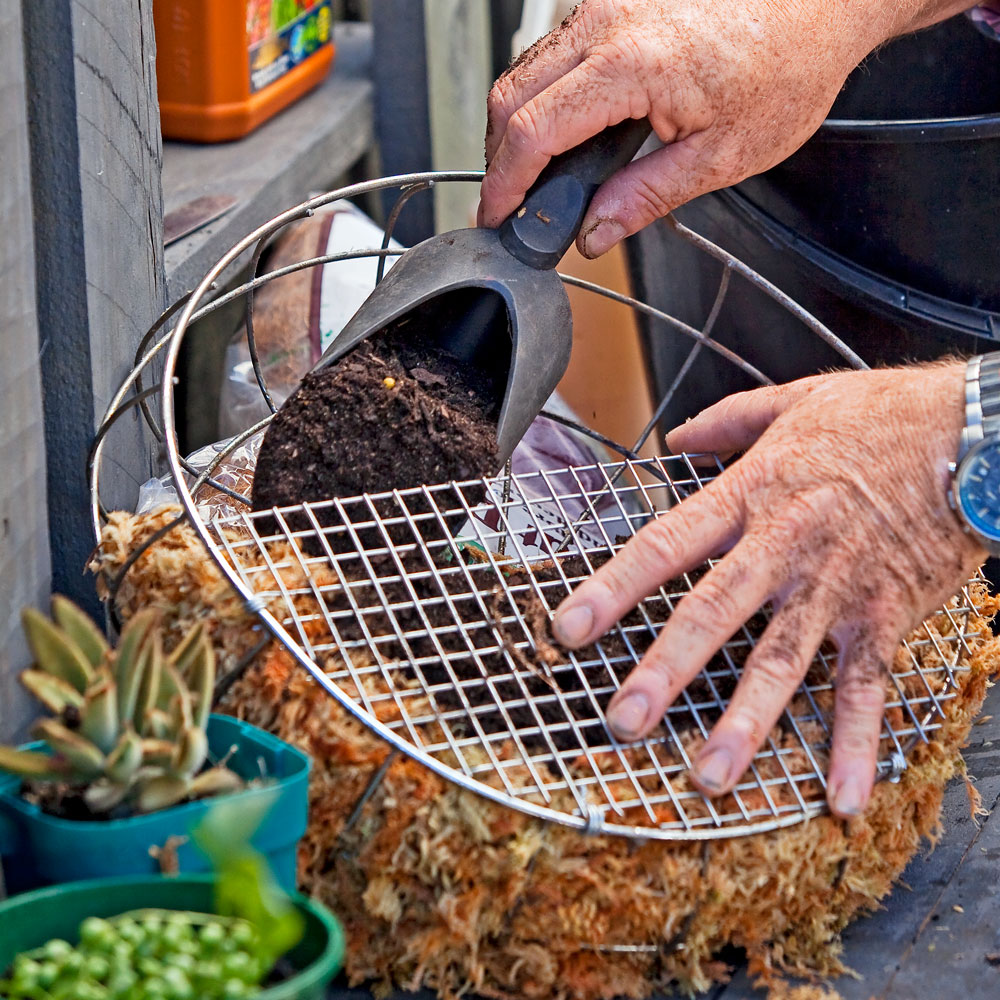 How to make a succulent planter from a fan | Better Homes and Gardens