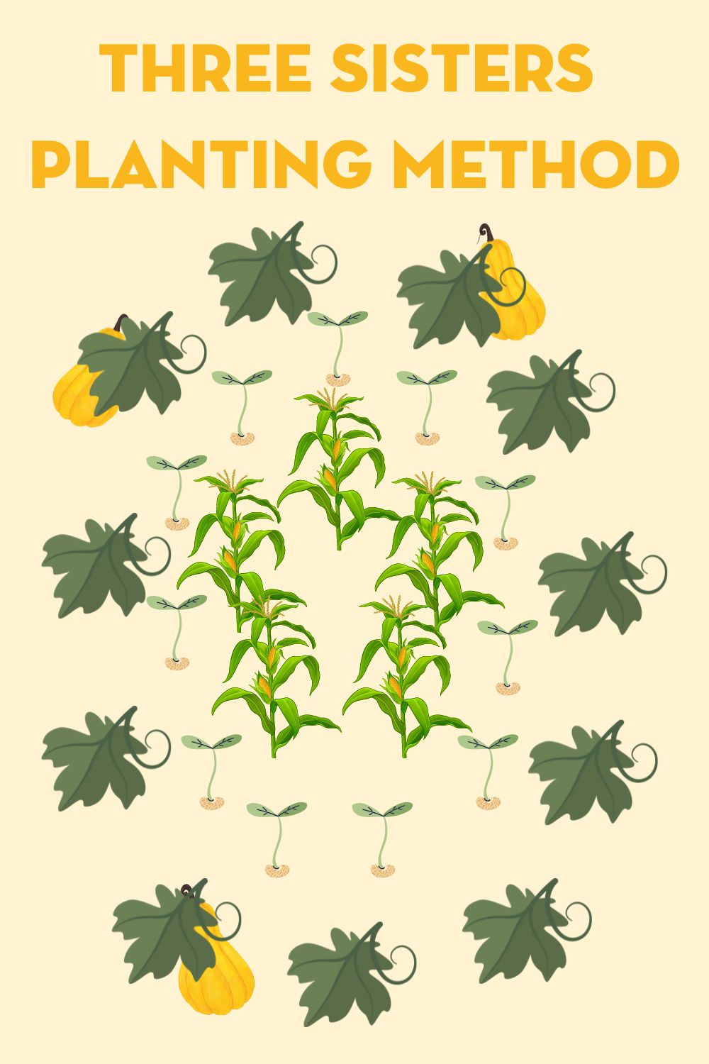 Three Sisters Planting Method | Better Homes and Gardens