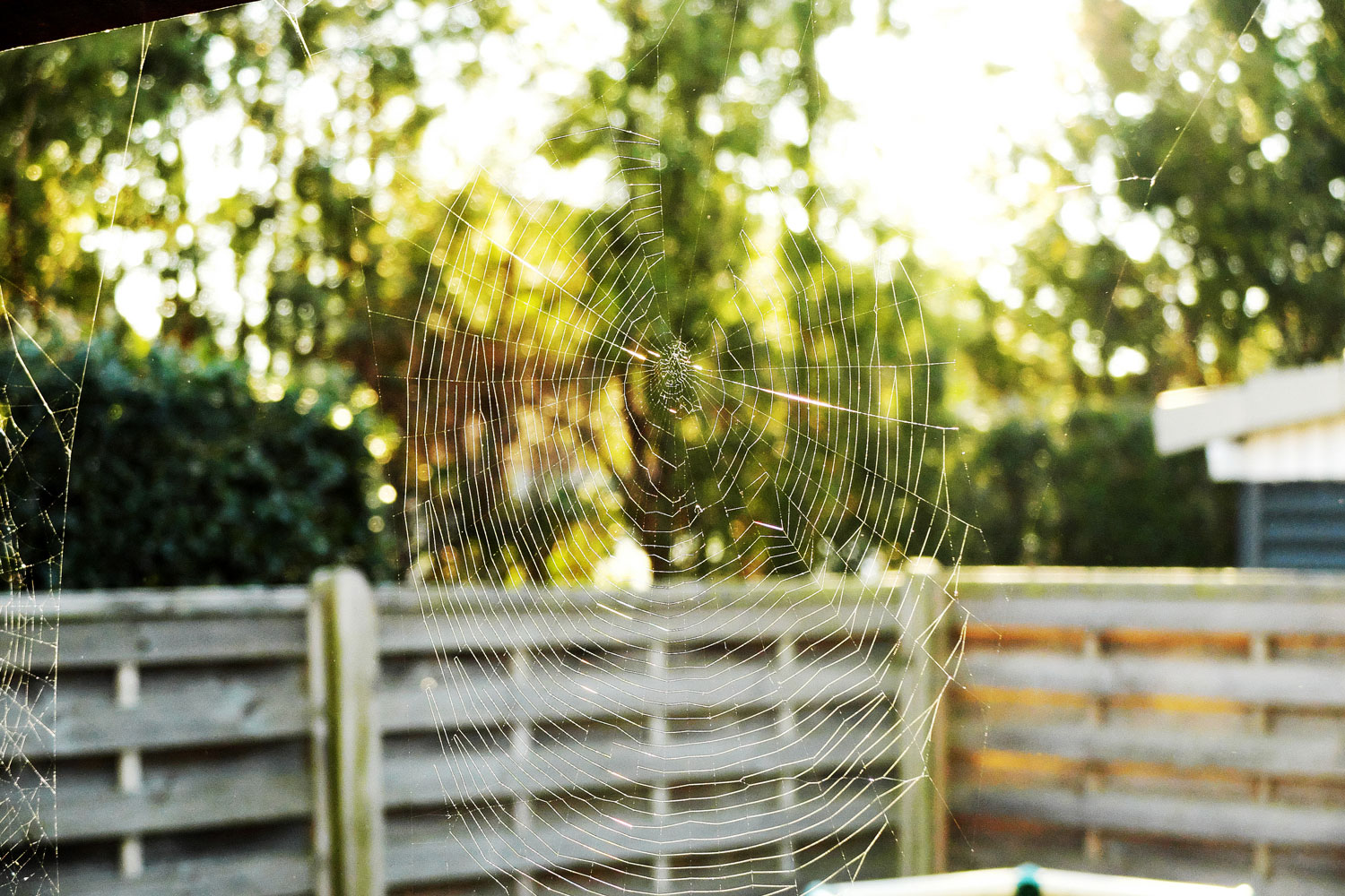 How To Get rid Of Spider Webs Around Your Home | Better Homes and Gardens