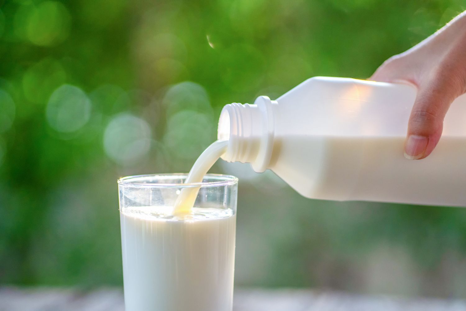 How Watering Plants With Milk Helps Them Grow | Better Homes and Gardens
