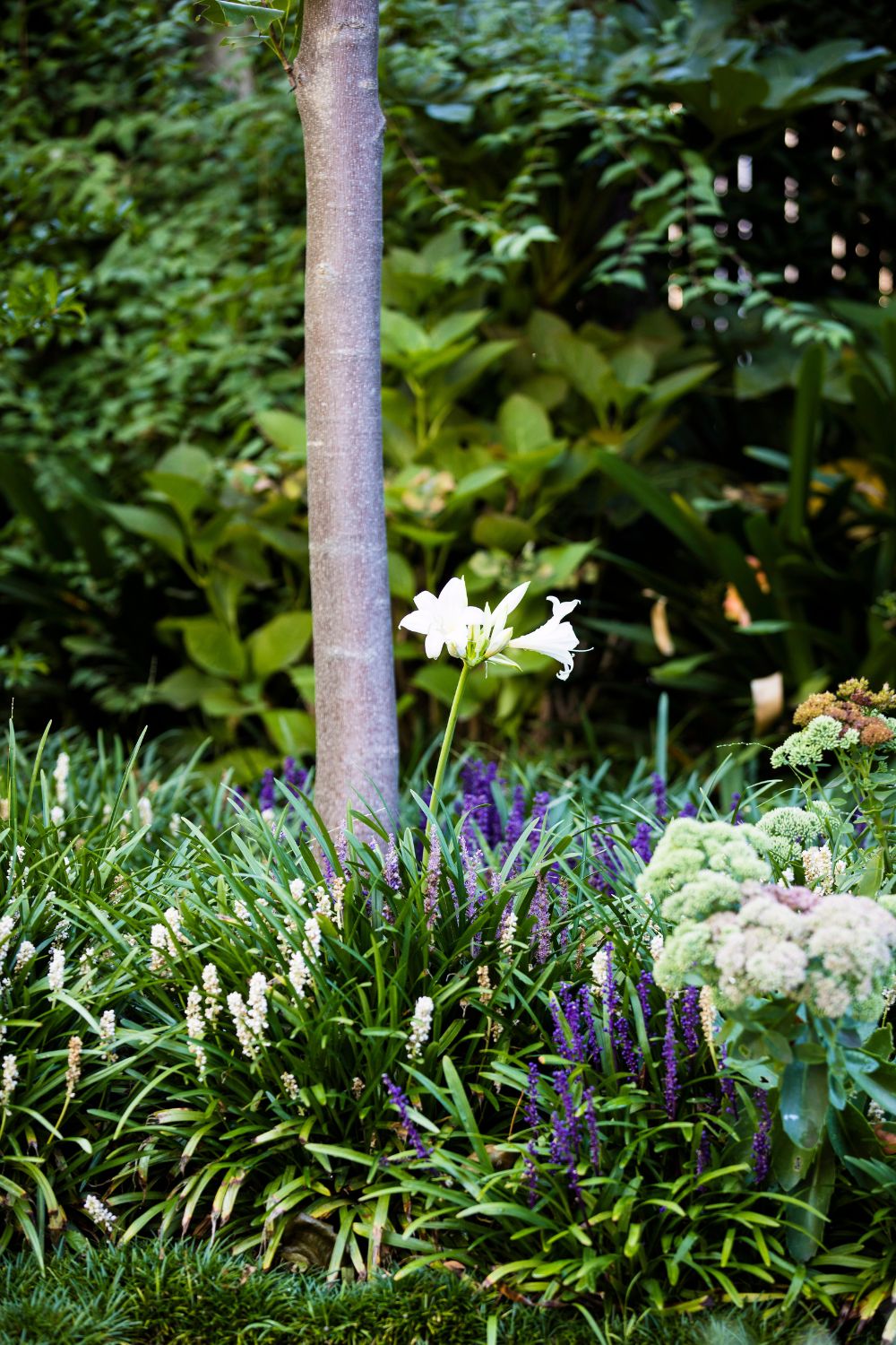What Is A Rain Garden And How To Build Your Own | Better Homes and Gardens