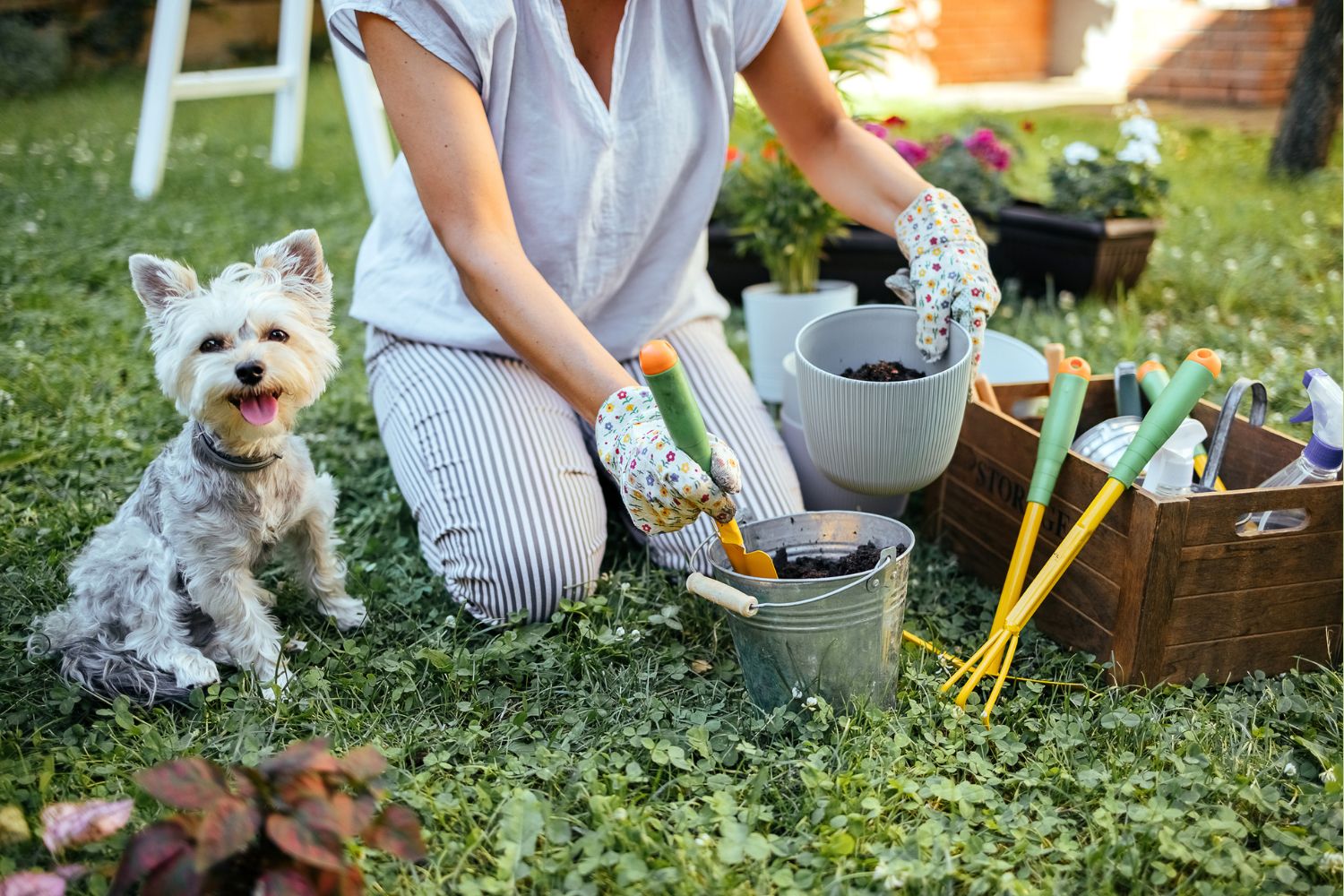 Essential Gardening Tools: Must-Haves for Green Thumbs | Better Homes ...
