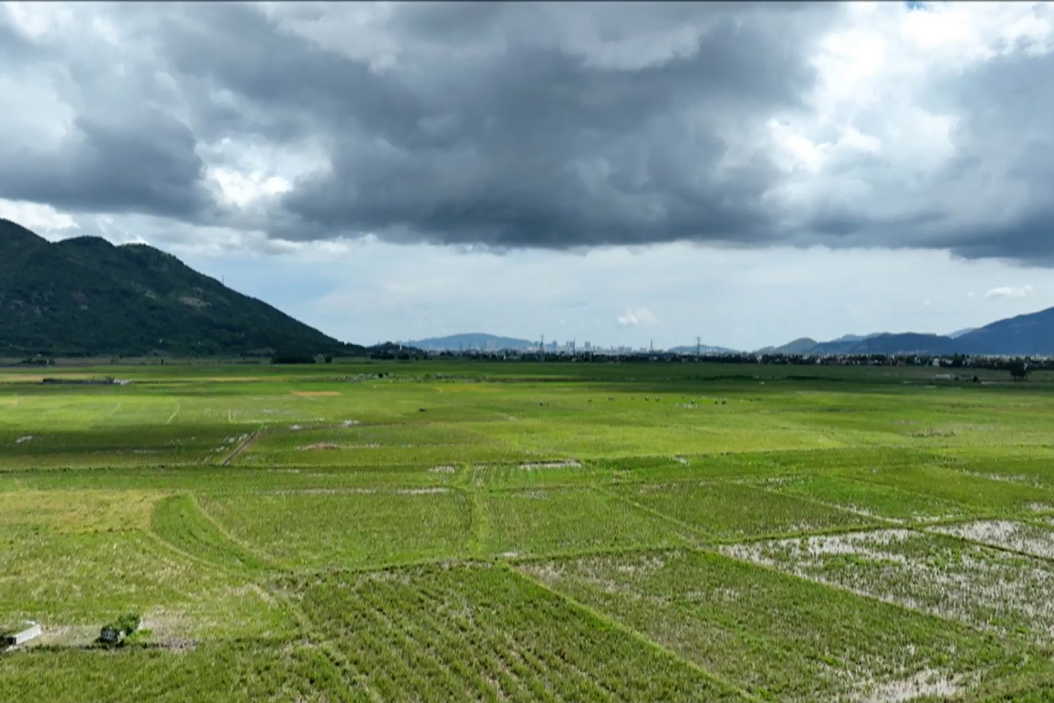Cruise Vietnam: Adam Dovile And Melissa King's Grand Tour | Better ...