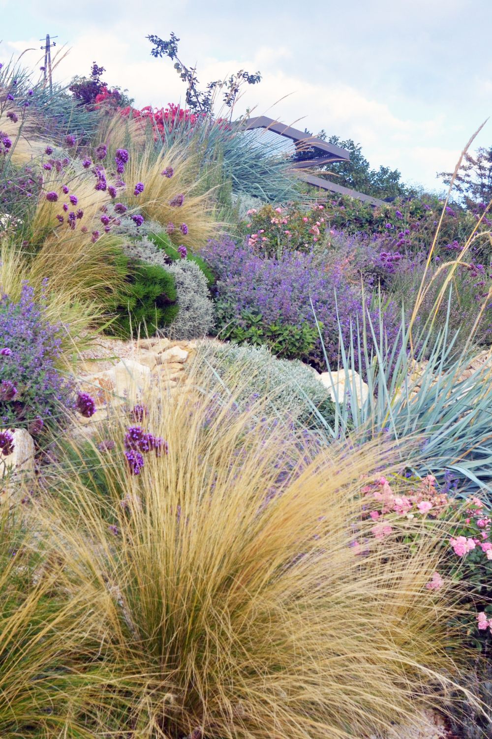 How To Create A Wildflower Garden Meadow | Better Homes and Gardens