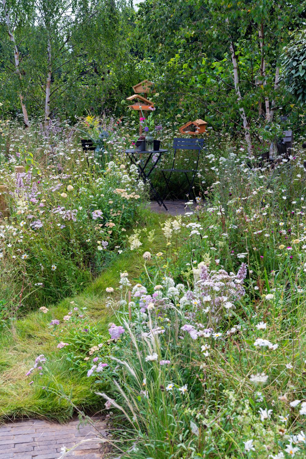 How To Create A Wildflower Garden Meadow | Better Homes and Gardens
