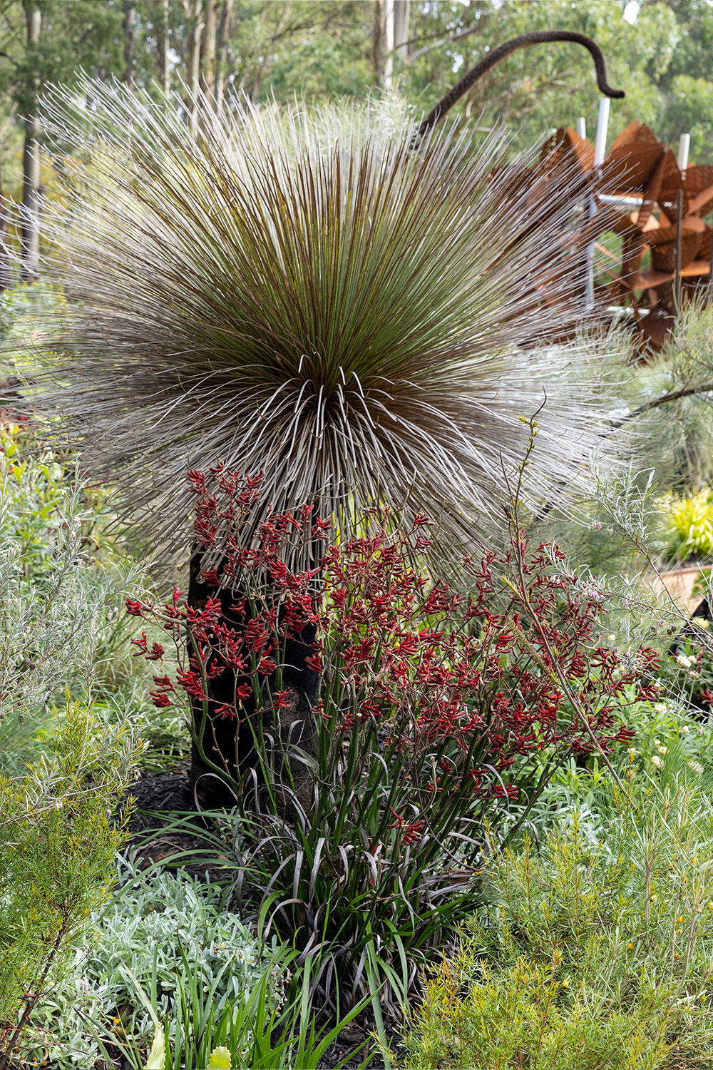 Backyard Ideas On A Budget: Making Your Garden Look Expensive | Better ...