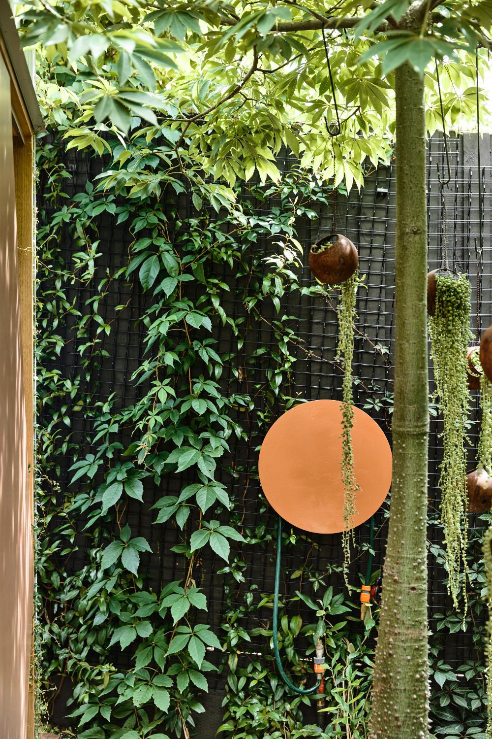 How To Hide An Ugly Outside Wall | Better Homes and Gardens