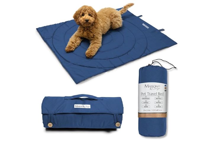 The Best Dog Mats to Keep Your Pup Comfortable in 2024 | Better Homes ...