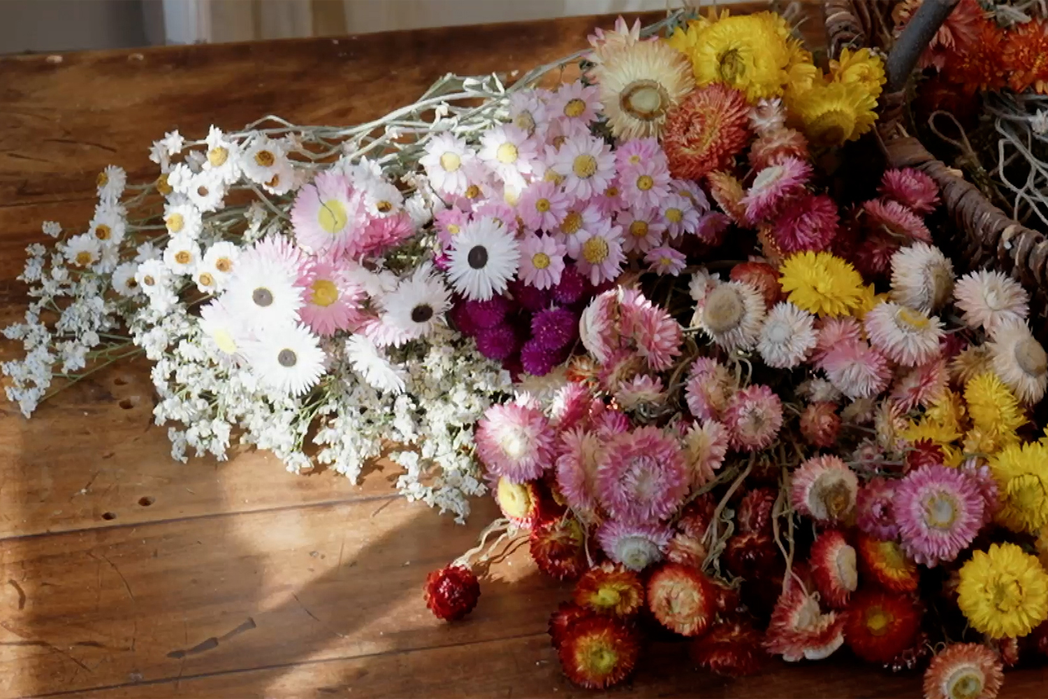 Melissa King Learns The Art Of Preserved Flowers | Better Homes and Gardens