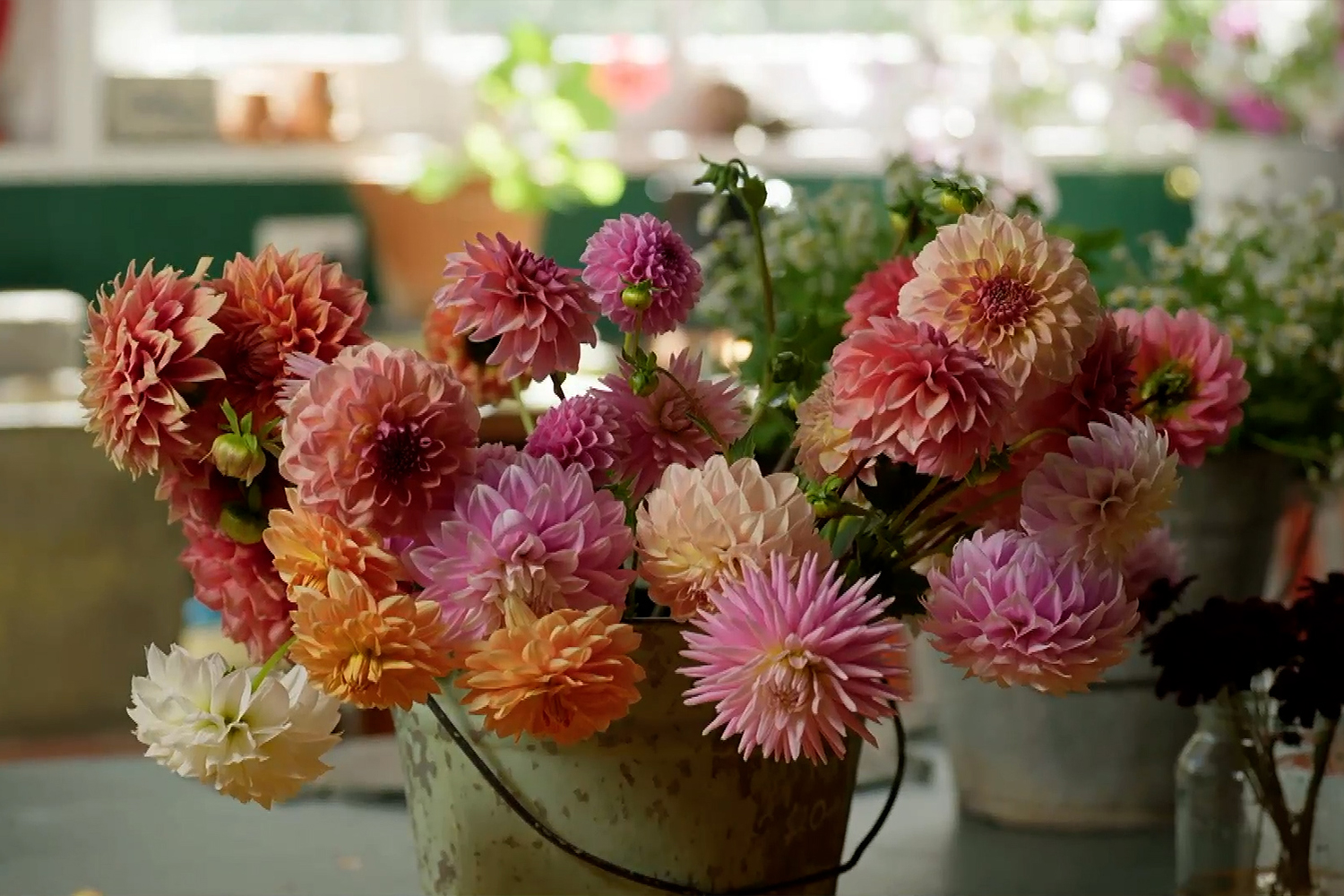 Melissa explores the art of Floriography | Better Homes and Gardens