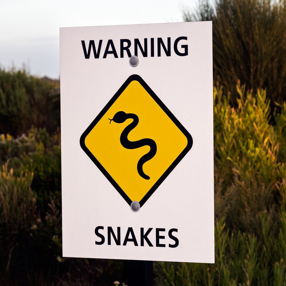 Snakebite dos and don'ts | Better Homes and Gardens