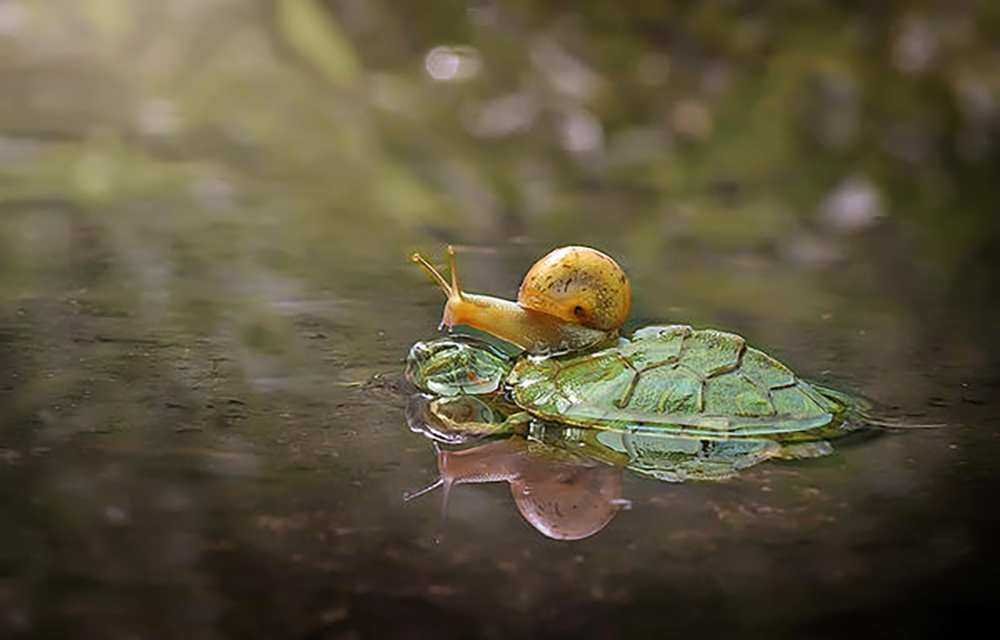 Image of the day | Better Homes and Gardens