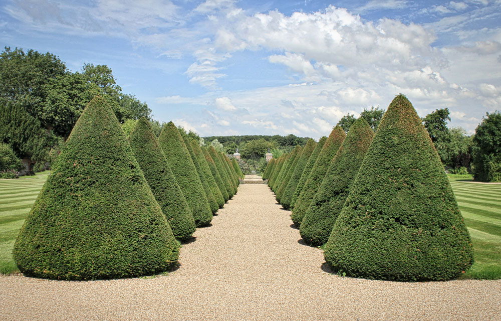 How to make a topiary animal for your garden | Better Homes and Gardens